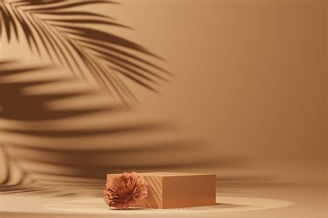 프레젠테이션 3d 렌더링을 위한 그림자가 있는 빈 디스플레이 연단에 대한 스톡 사진 및 기타 이미지 연단 장미 꽃 식물 Istock