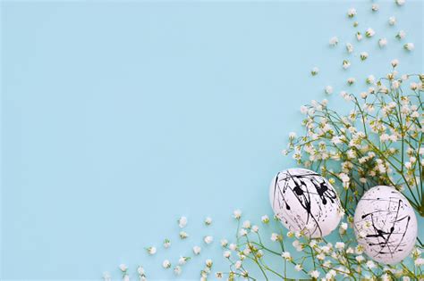 두 개의 계란은 공간의 사본과 파란색 배경에 검은 반점과 꽃과 흰색흰색입니다 부활절 Minimalism 축제 배경 엽서 프레임