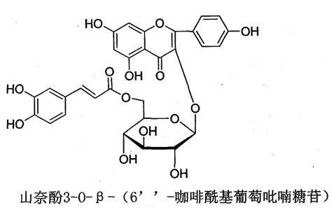 什么是糖苷键 百度知道