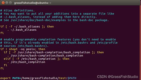 Linux（环境变量） Csdn博客