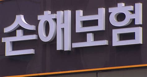 단독 불완전판매 소지 보험 안내장 금감원 전수 조사