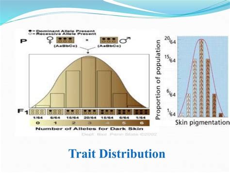 Polygene And Its Inheritance Pptx