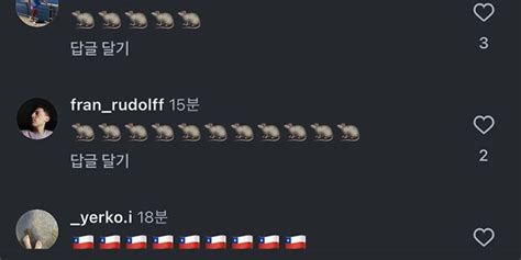 오혜리 코치 인스타 근황 에펨코리아