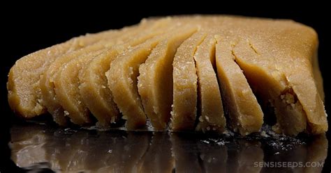 Wie Macht Man Hasch Dry Sift Charas Und Bubble Hash Sensi Seeds