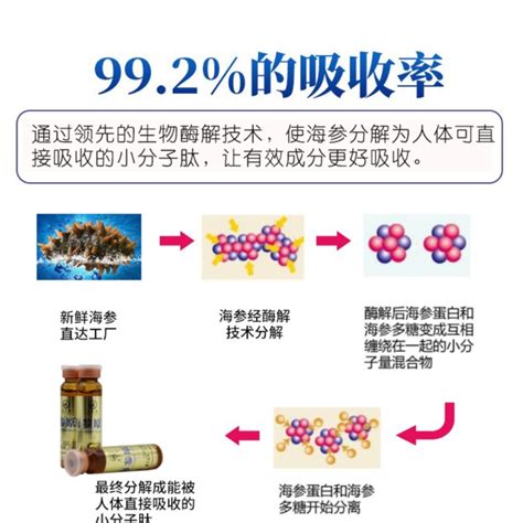 烟台宝肤灵生物科技有限公司提供蓬莱阁海参原浆OEM FoodTalks食品供需平台