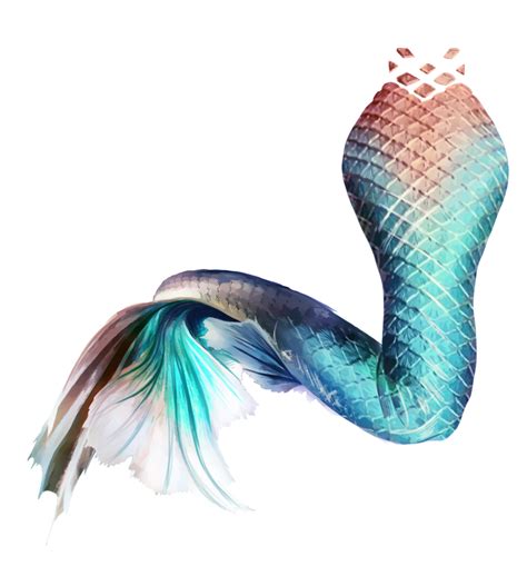 Cauda Sereia PNG para personalizar fundo transparente grátis