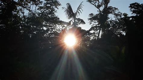 Crónicas De La Tierra Sin Mal Etsa Nantu Y Auju Relato Shuar
