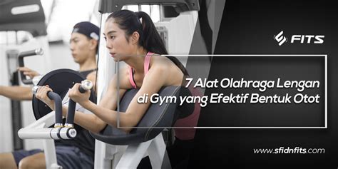 Sfidn Fits Blog 7 Alat Olahraga Lengan Di Gym Yang Efektif Bentuk Otot