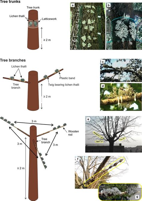 Figure C1 Example Of Exposure Devices Schematic Representations And