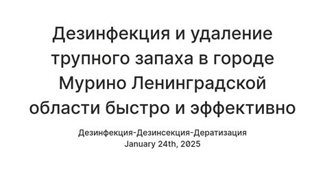 Дезинфекция и удаление трупного запаха в городе Мурино Ленинградской