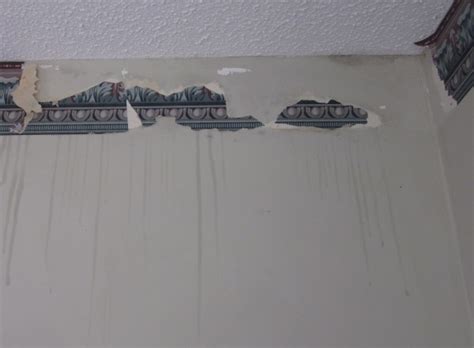 How To Remove A Wallpaper Border Sondra Lyn At Home