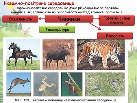 Середовища існування організмів презентация онлайн
