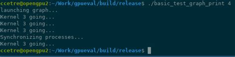 Hip Graph Issue When Using A Kernel From Different Graphs Issue ROCm HIP GitHub