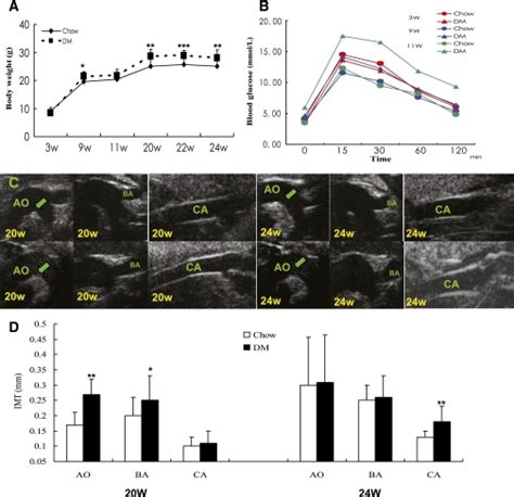 Generation Of Diabetic Atherosclerosis Mouse Model A Body Weights Of Download Scientific