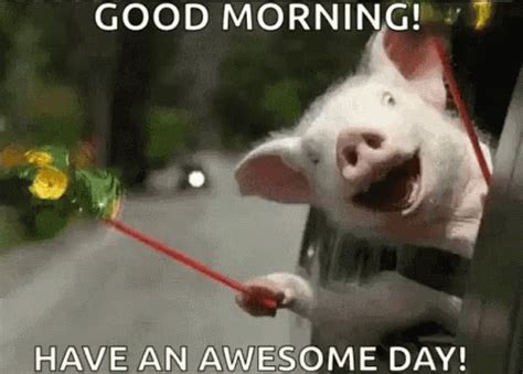 Good Morning Funny S