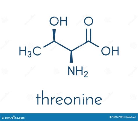 Threonine L Threonine Thr T Amino Acid Molecule Skeletal Formula
