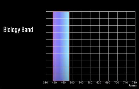 Reef Tank Lighting Spectrum