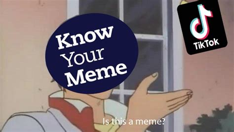 Tiktok Is Not A Meme Tiktok Know Your Meme