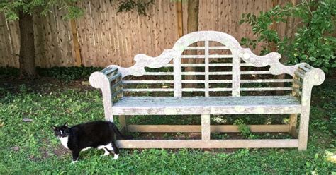 Content In A Cottage A Cat Named Pyewacket
