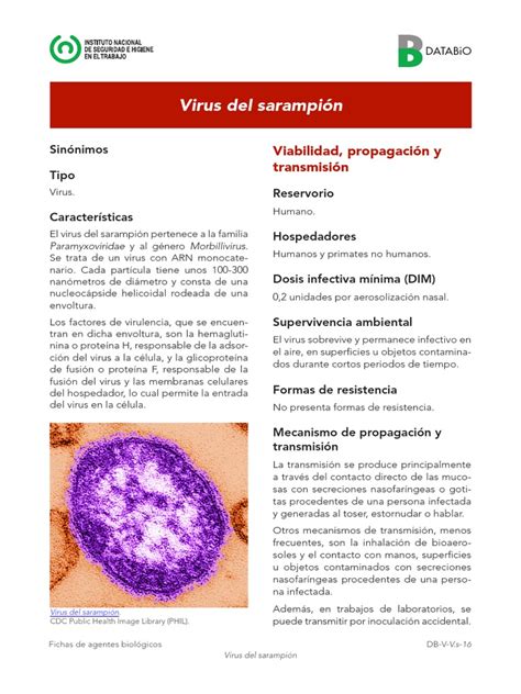 Virus Del Sarampion 2017 Pdf Sarampión Virus