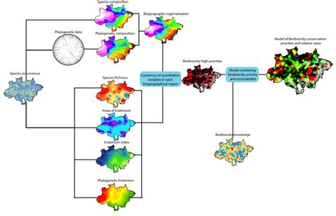 Amazon Eco Services Biodiversity Methodology