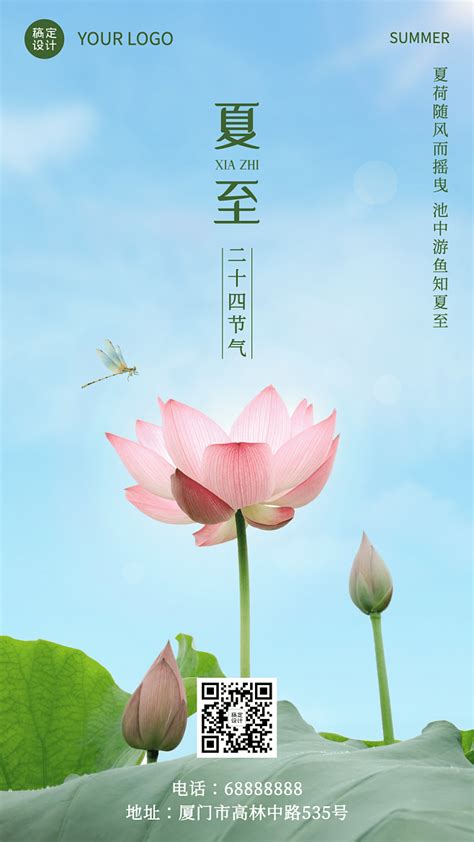 夏至节气祝福莲花实景手机海报