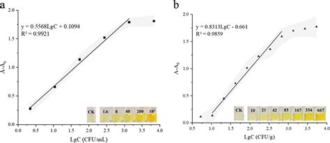 Calibration Curve Of The Different Target Concentrations And The Download Scientific Diagram