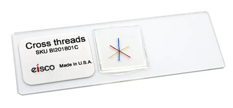 Prepared Microscope Slide Crossing Threads 75 X 25mm Introductory