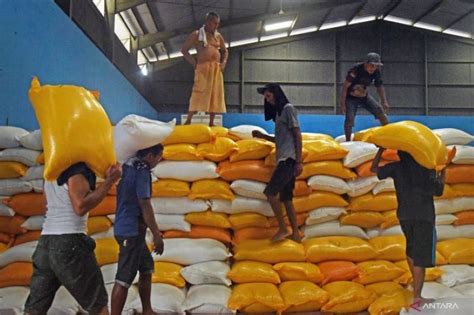 Badan Pangan Nasional Operasi Pasar Mampu Stabilkan Harga Beras