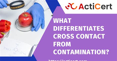 Understanding The Risks Of Food Allergens