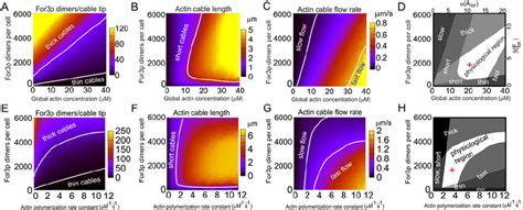 Plots Of Observables Obtained From The Computational Model Using The Download Scientific
