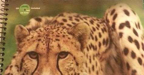 Ms Powerpoint 2010 Imgur