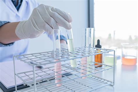 Projekt Comparative Protein Determination In Insects