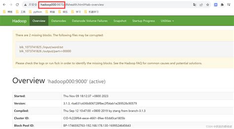 启动hadoop集群时没有启动datenode怎么解决？启动集群没有datanode Csdn博客