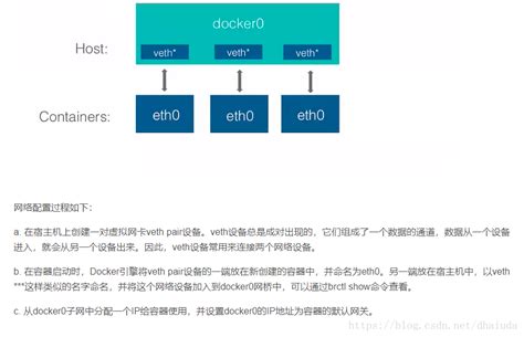Docker学习——docker的bridge网络docker中bridge 网络是什么 Csdn博客
