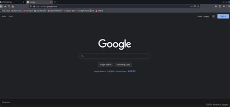Kali Linux配置网络代理kali设置代理 Csdn博客