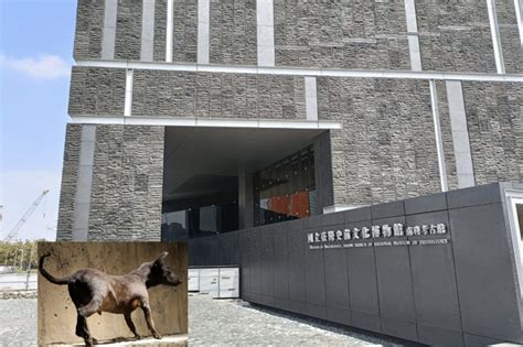 陳羋妡觀點：台灣第一小黑犬帶路，尋找前輩畫家筆下的台南風華！ 風傳媒