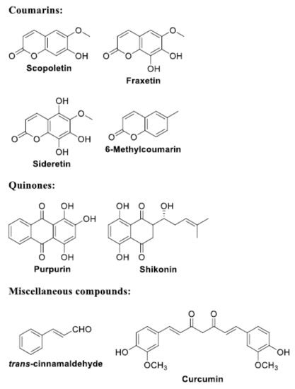 Antioxidants Special Issue Poly Pharmacological Approaches For