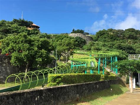 のんびり散策浦添大公園で遊んでみようふれあい広場ゾーン うらそえナビ