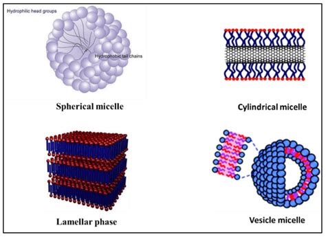Nanomicelles Delivery Systems Encyclopedia Mdpi