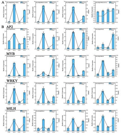 Qrt Pcr Analysis Of Cold Response Genes And Transcription Factors Under