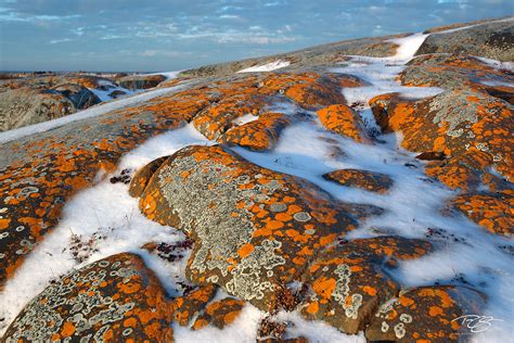 Jewels Of The Canadian Shield Churchill Manitoba Canada Timm