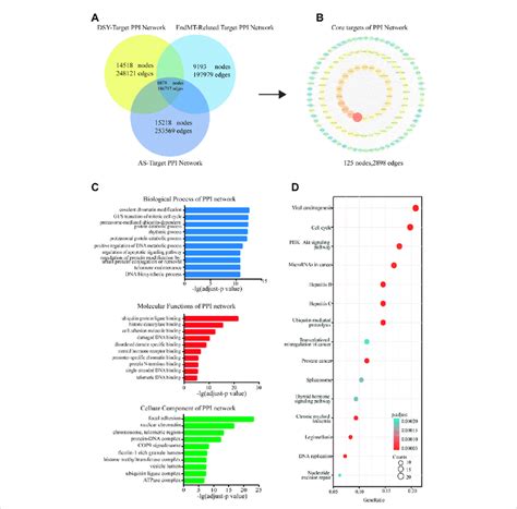 Functional Enrichment Analysis Of The Ppi Network A The Shared