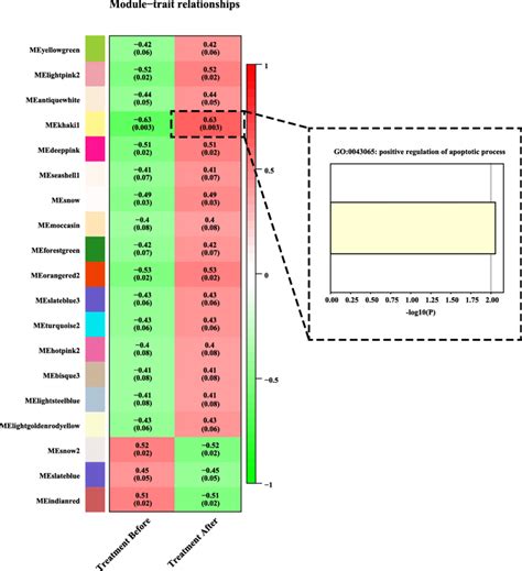 Detection Of Treatment Related Module A Module Trait Associations
