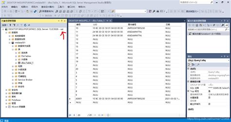 ＜net＞＜vb＞使用实现对sql服务器数据库的连接和读写，并在窗口表格中显示数据net编程实例 Csdn专栏