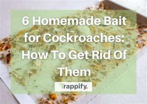 Homemade Bait For Cockroaches How To Get Rid Of Them