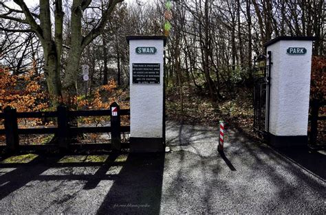 Naprzeciw SzczĘŚciu Buncrana Crana Swan Park Harry Percival Swan I