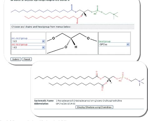 Lipid Maps Online Tools For Lipid Research At Harold Raines Blog