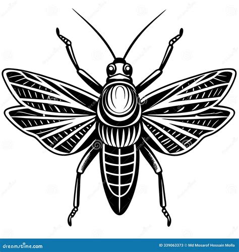 Termite Threat Vector Illustrations Of Wood Destroying Insects Royalty