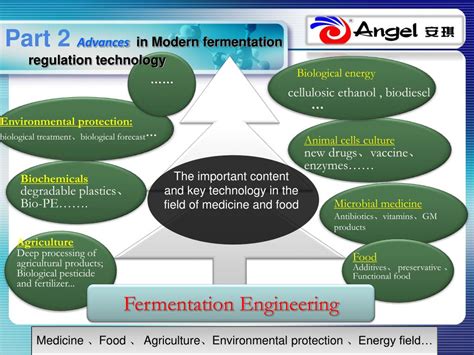 Ppt Yeast Extract For Fermentation Powerpoint Presentation Free Download Id 3616795
